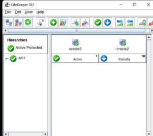 How to Create an HA Oracle Database Server Cluster in AWS | SIOS