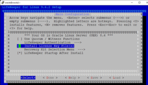 How to Create an HA Oracle Database Server Cluster in AWS | SIOS
